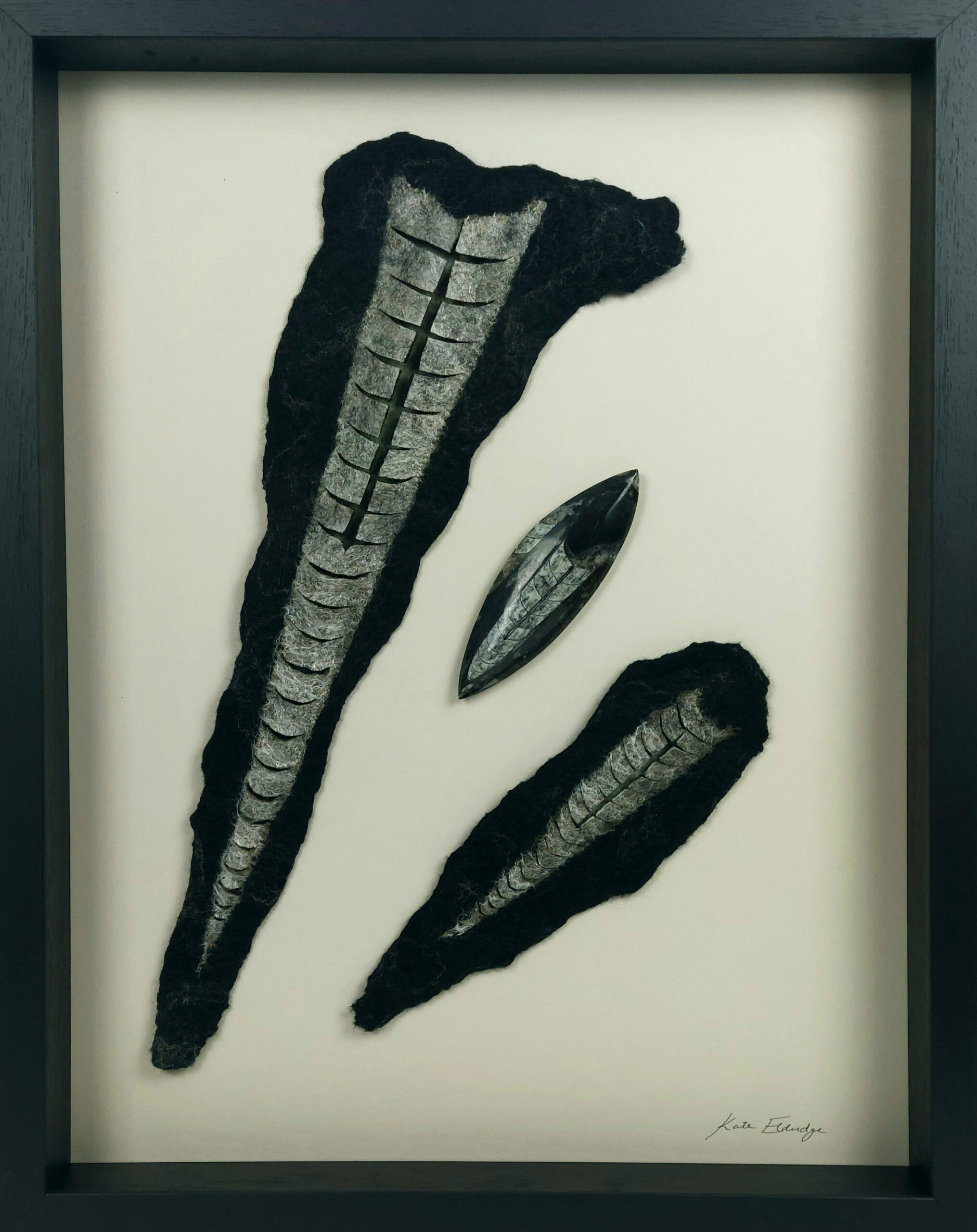 Orthoceras Artmakers